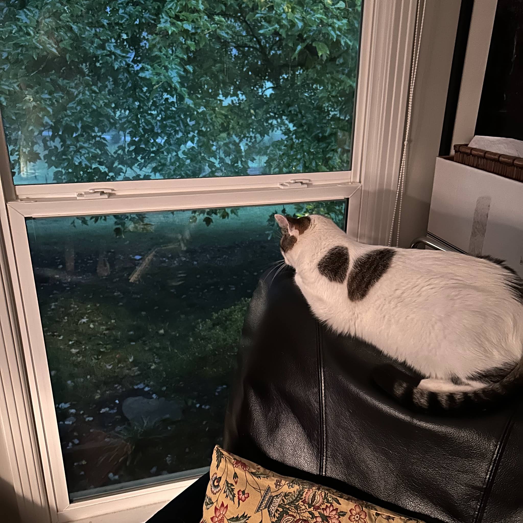 Post from Kaye Kittrell Late Bloomer