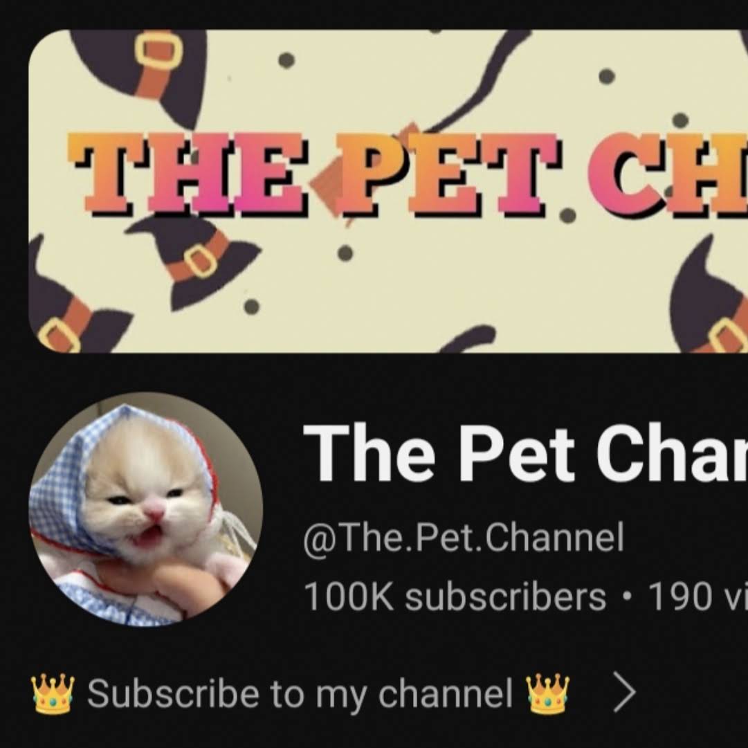 Post from The Pet Channel