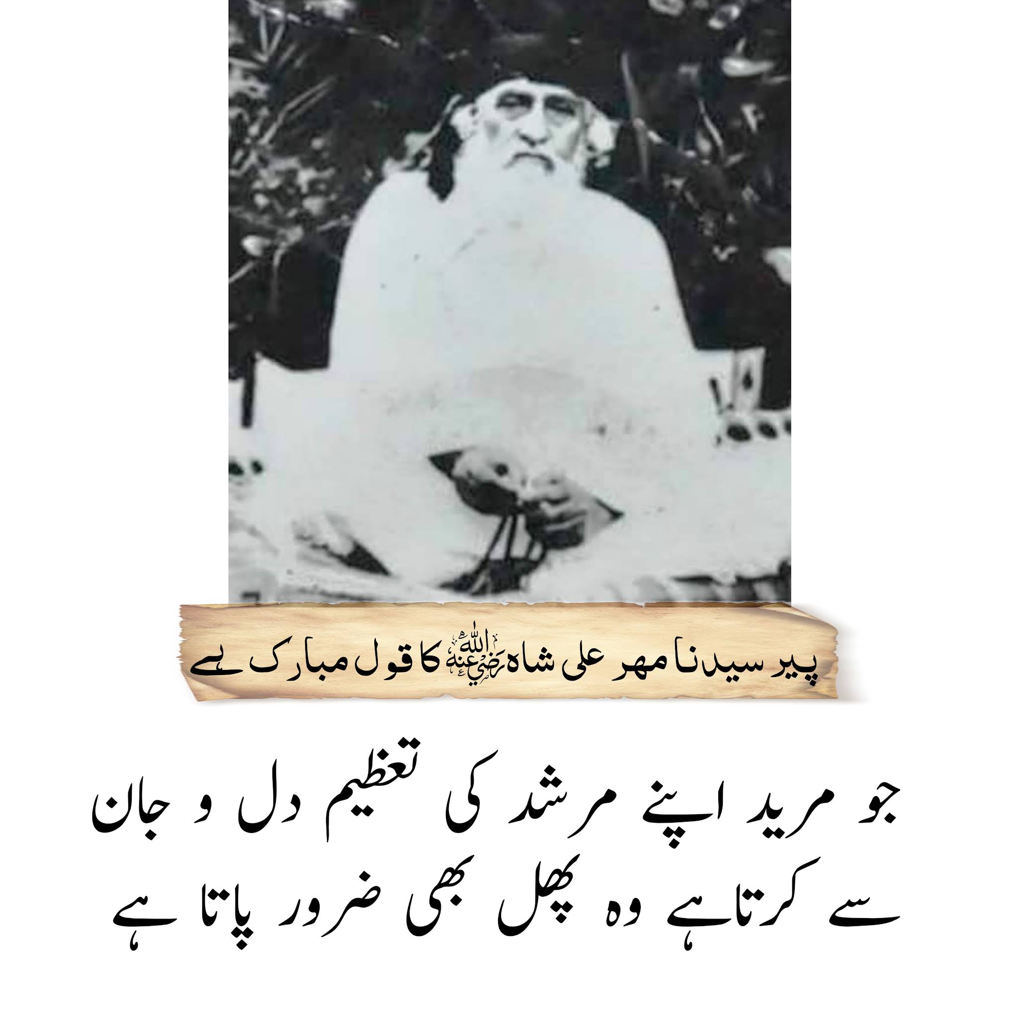 Post from Mehfil-E-Naseer Official