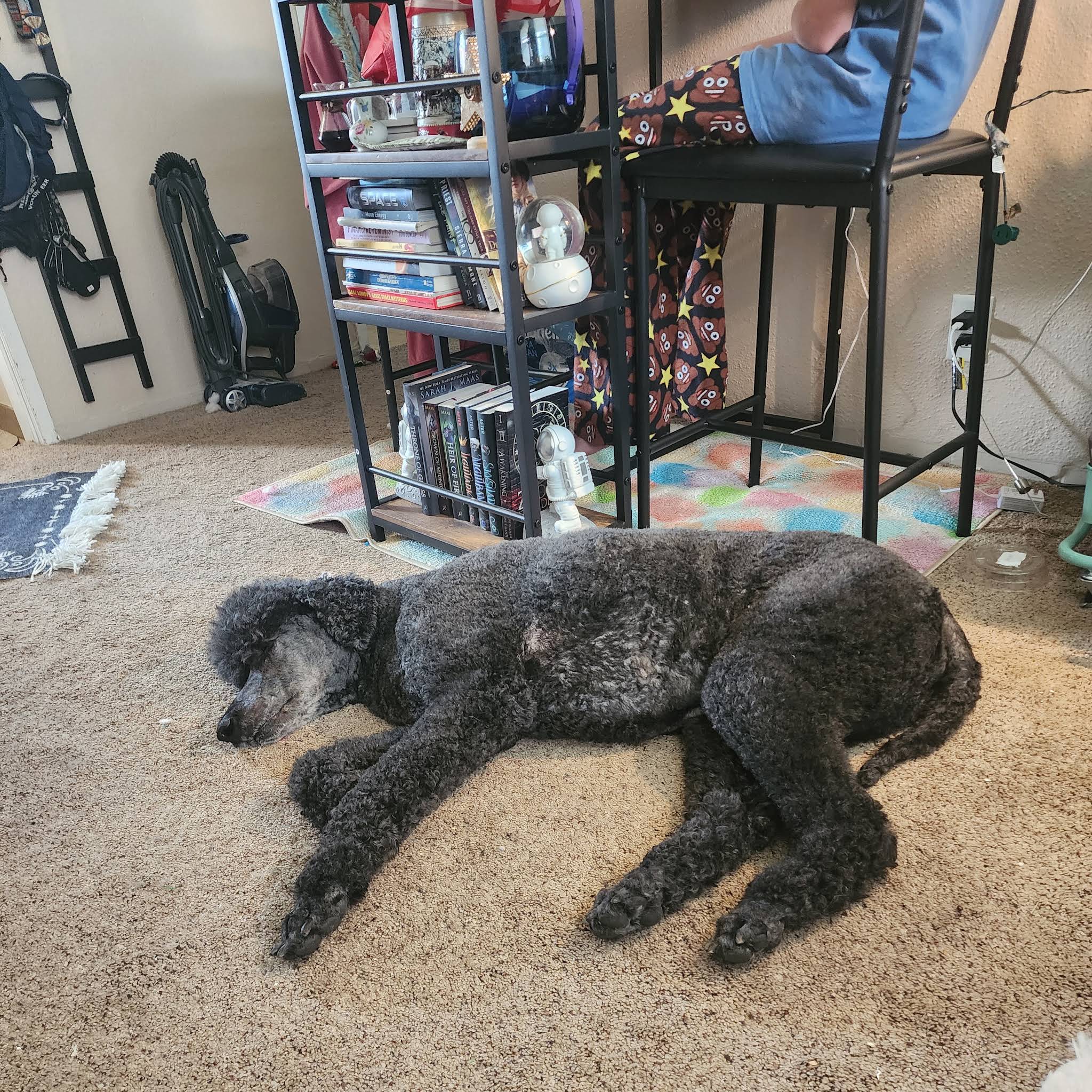 Post from Simply Libby