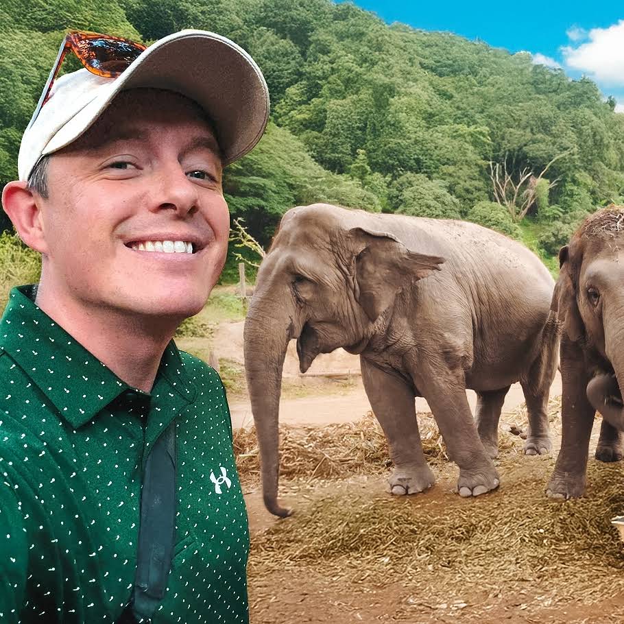 Post from Paddy Doyle