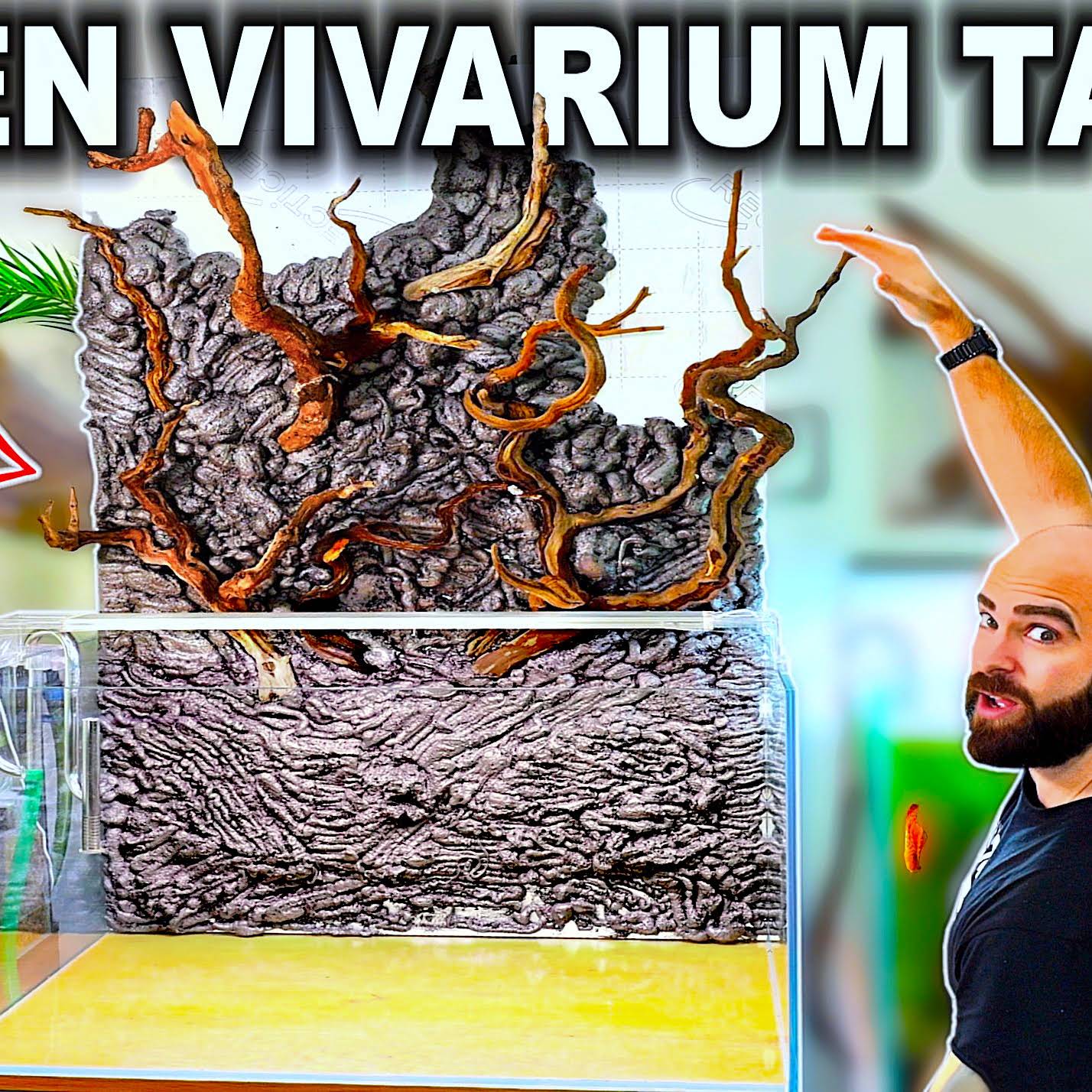@mdfishtanks | MD Fish Tanks | fishfam.link