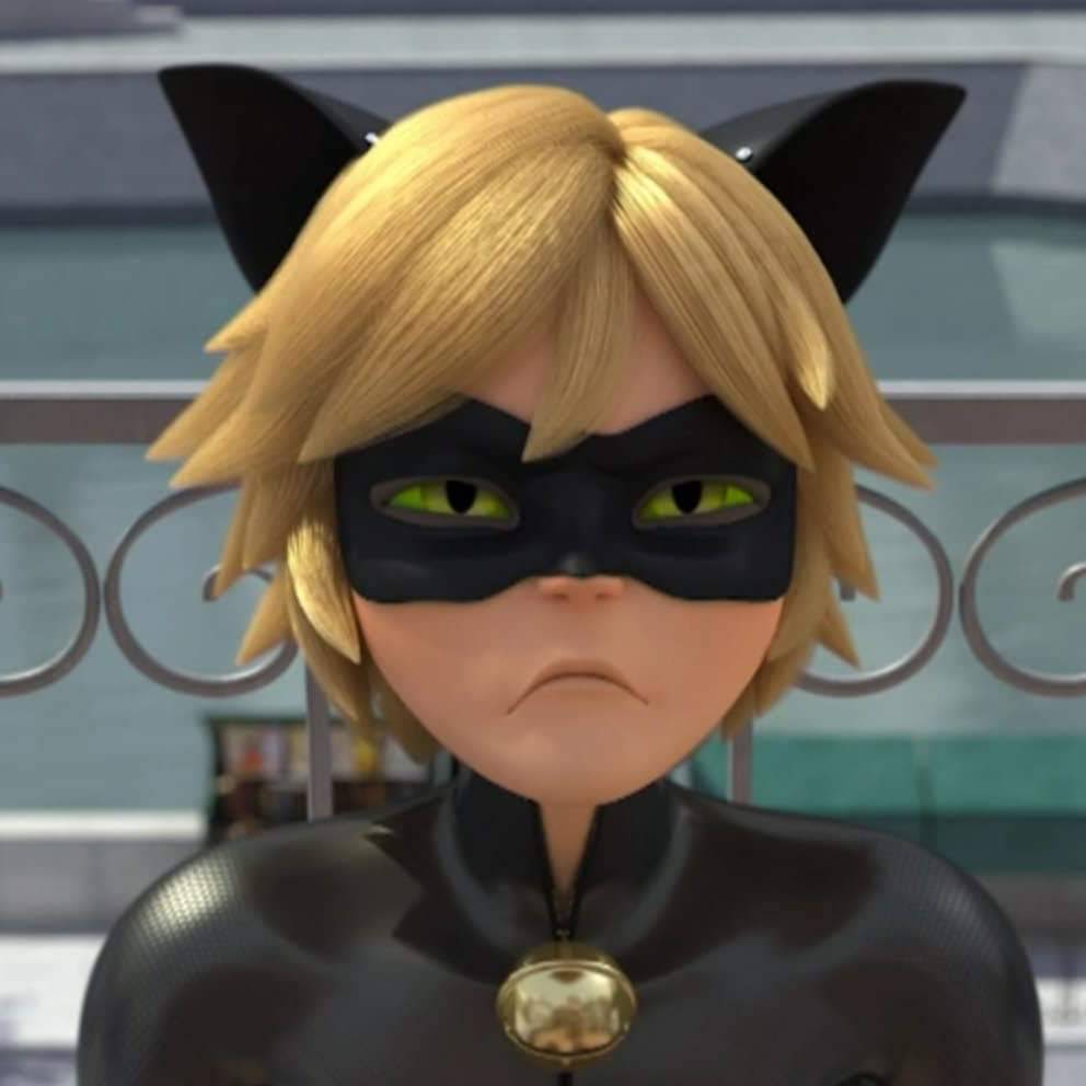 Post from Kitty Section