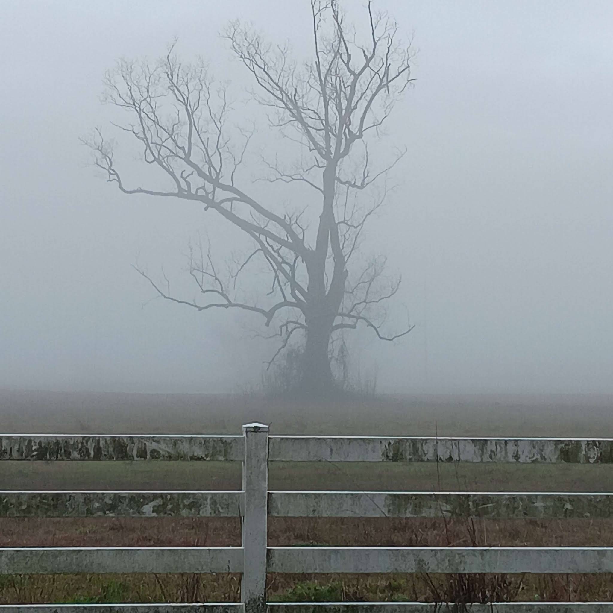 Post from No One Any Moore