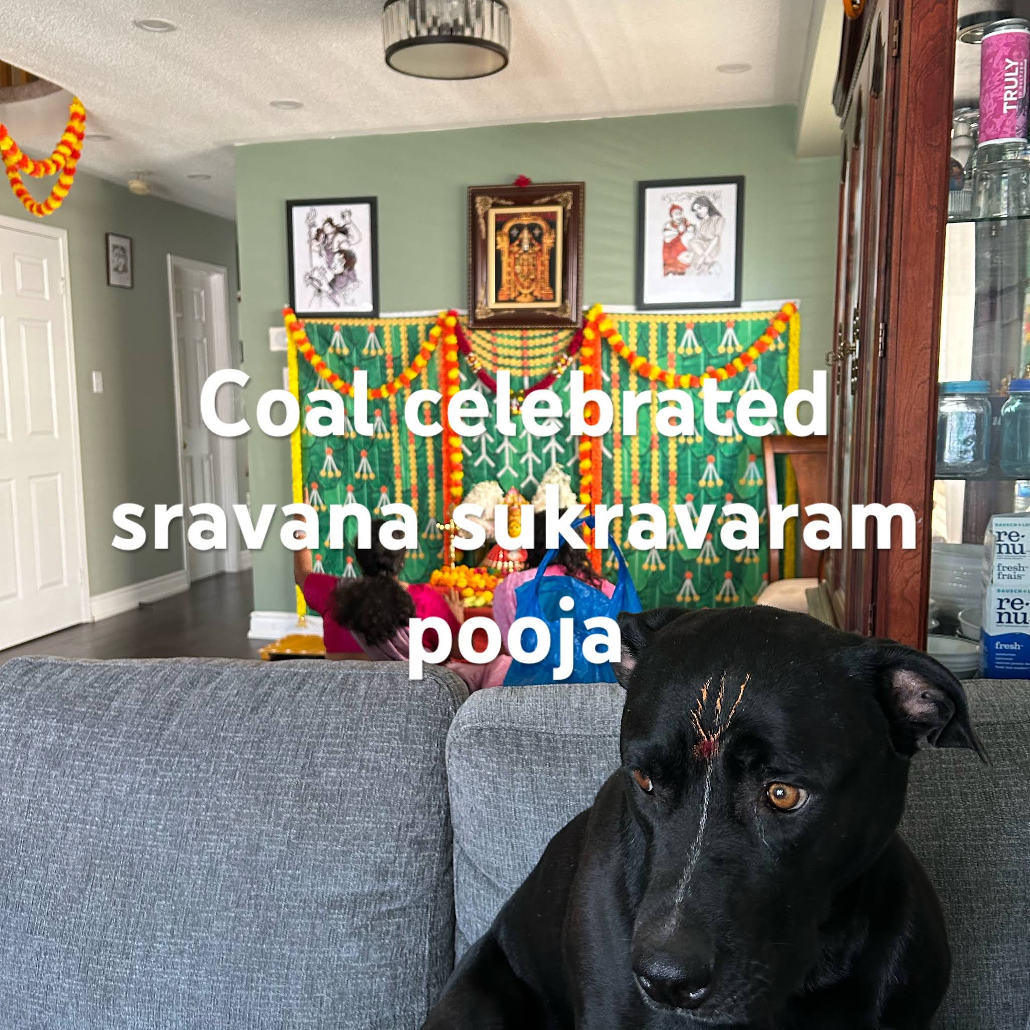 Post from Hyper Ticket Batch