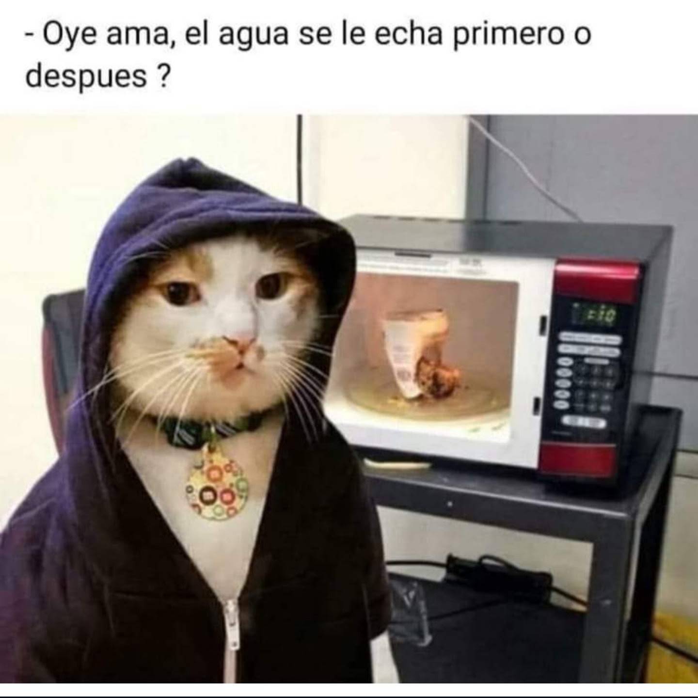 Post from Snowflake Freak