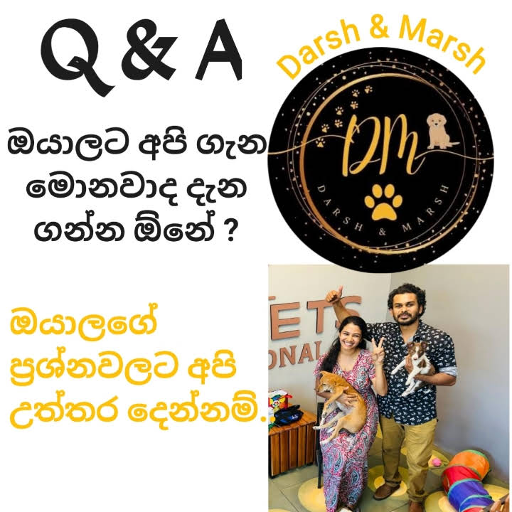 Post from DARSH & MARSH