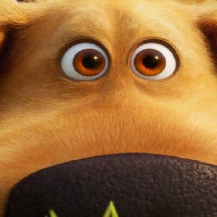 Post from Cheyenne Lin