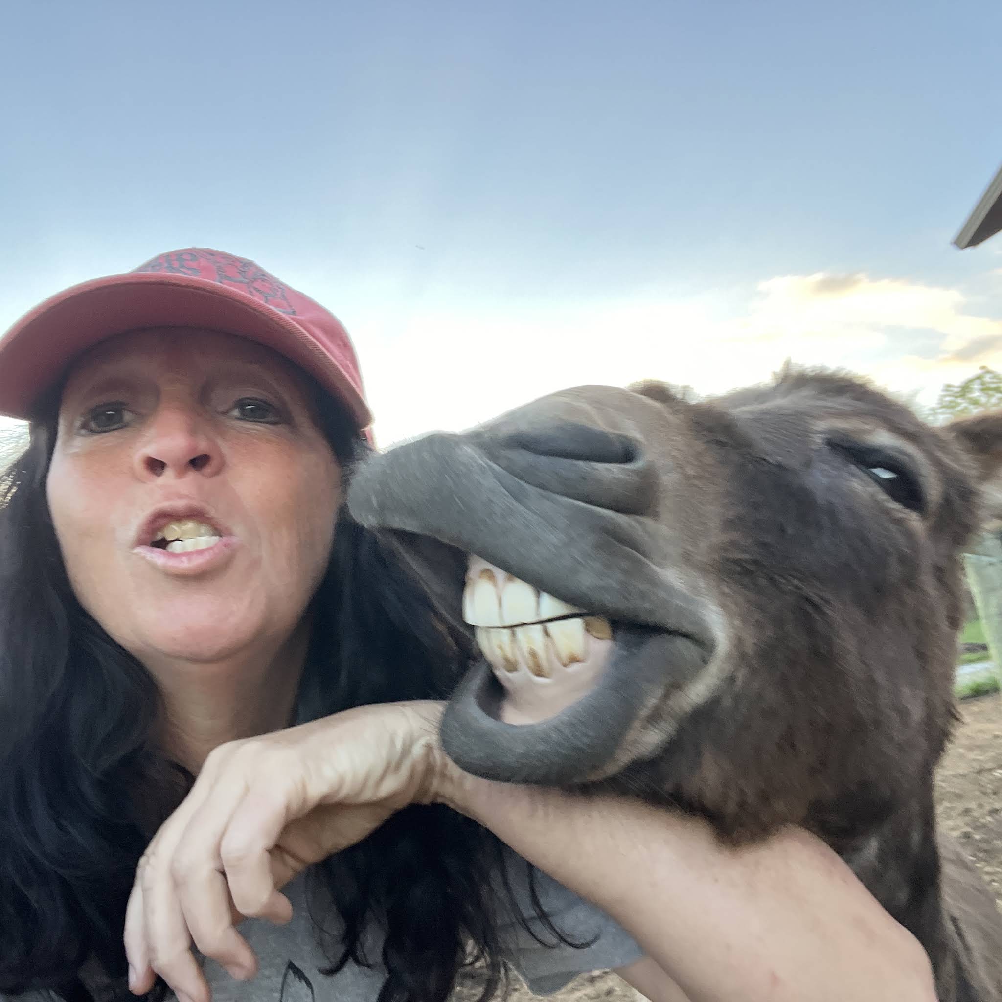 Post from One Happy Ass Farm