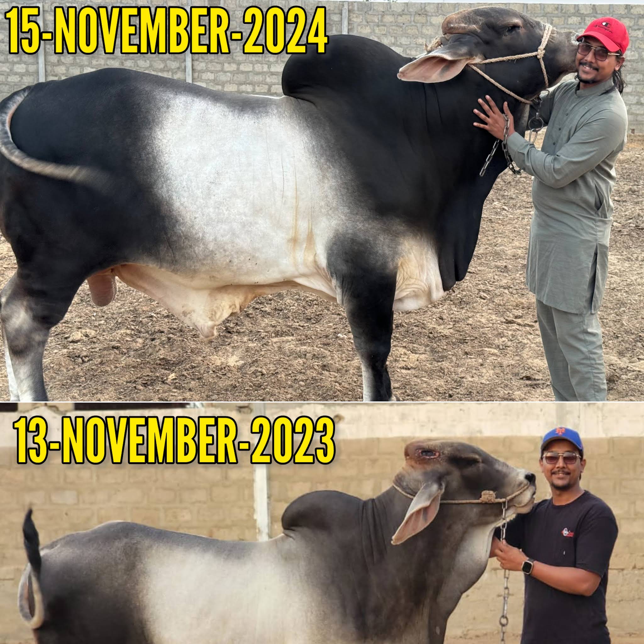 Post from SAM Entertainment By Sameed