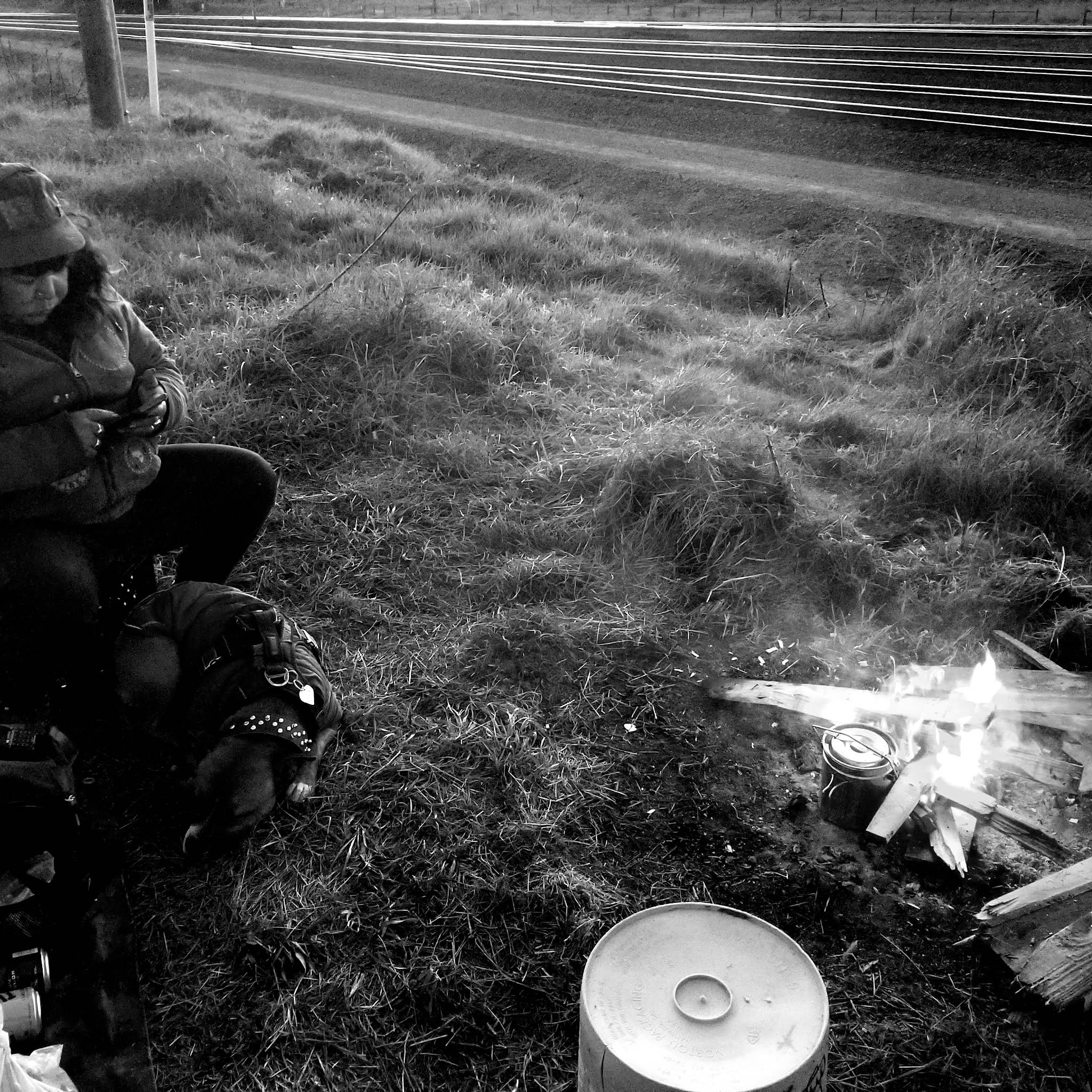 Post from Yard Buzzards