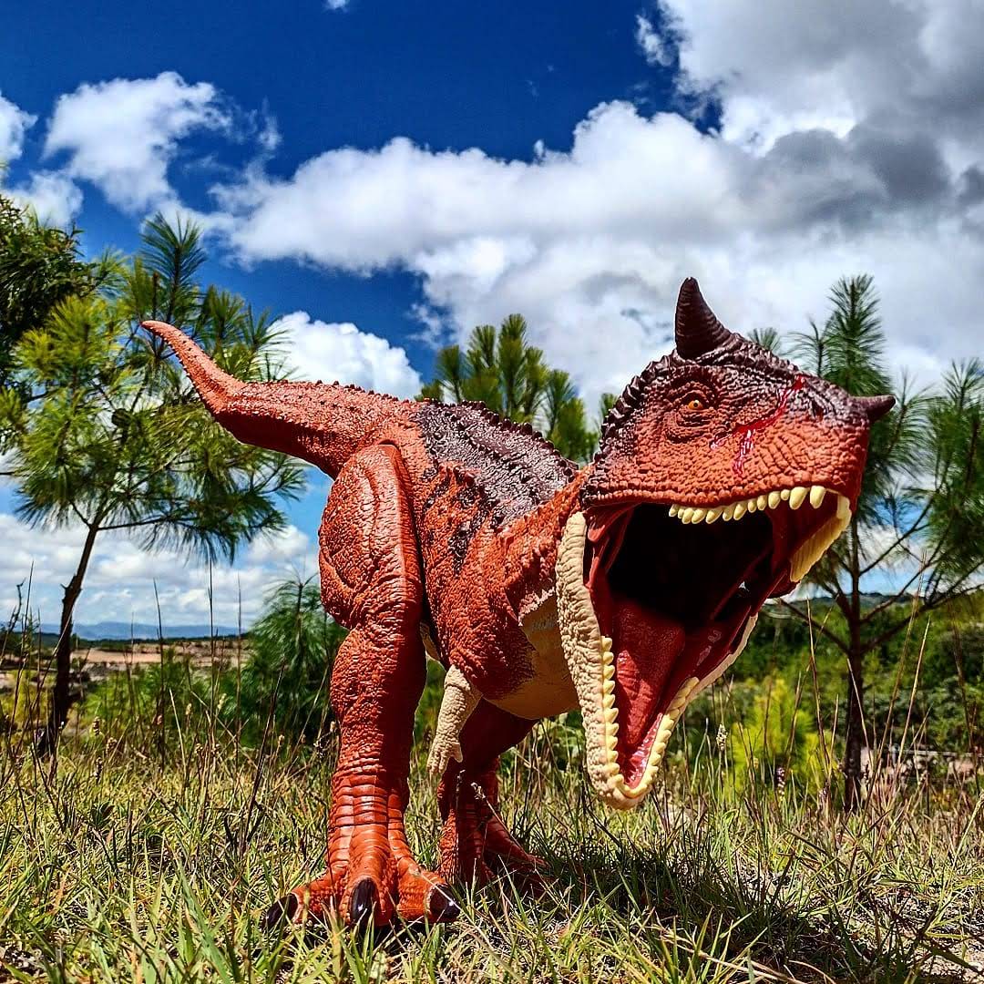 Post from Angry Collector