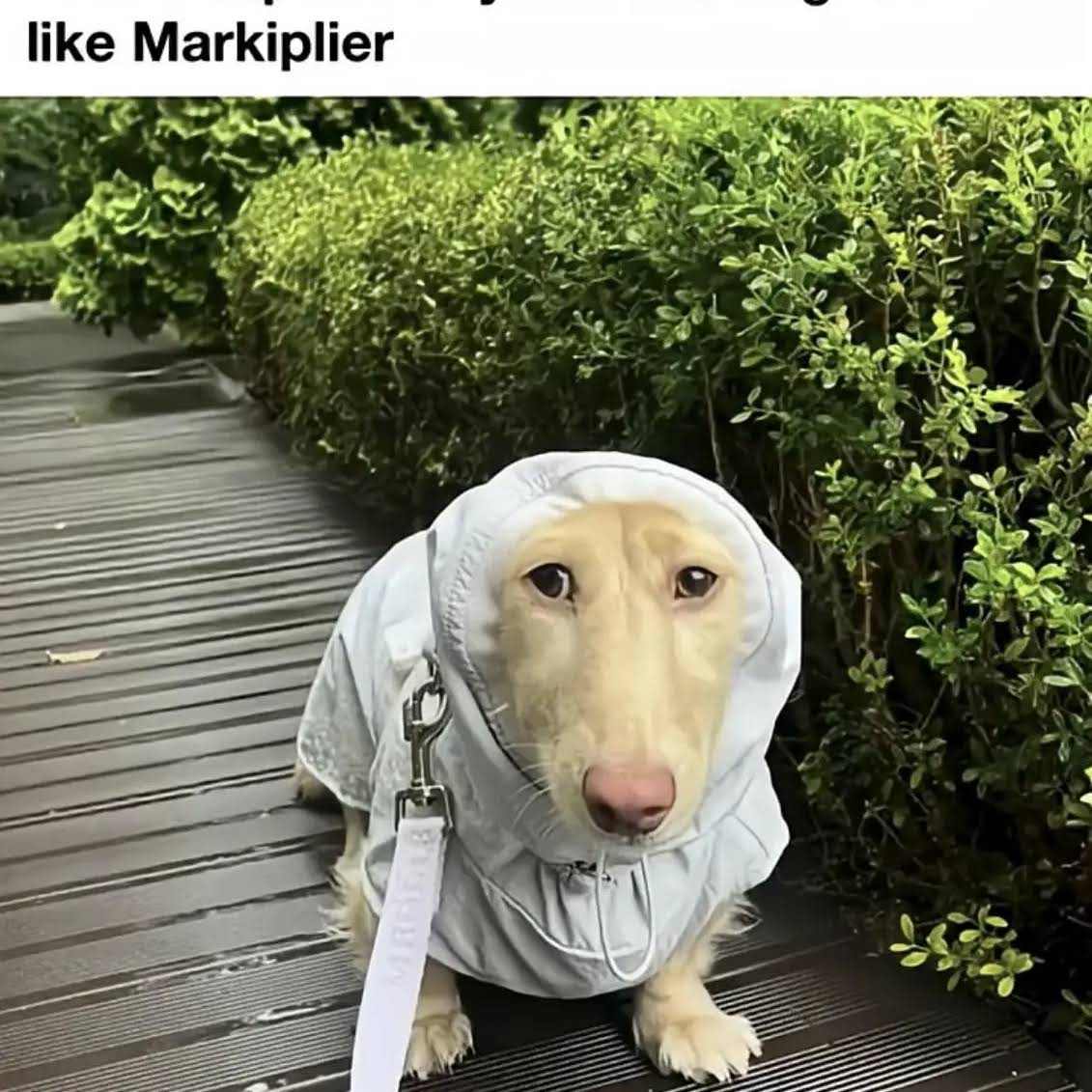 Post from billy