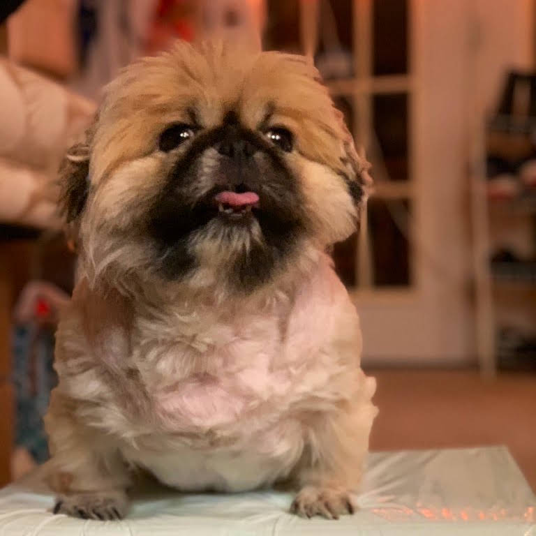 Post from MGF Customs