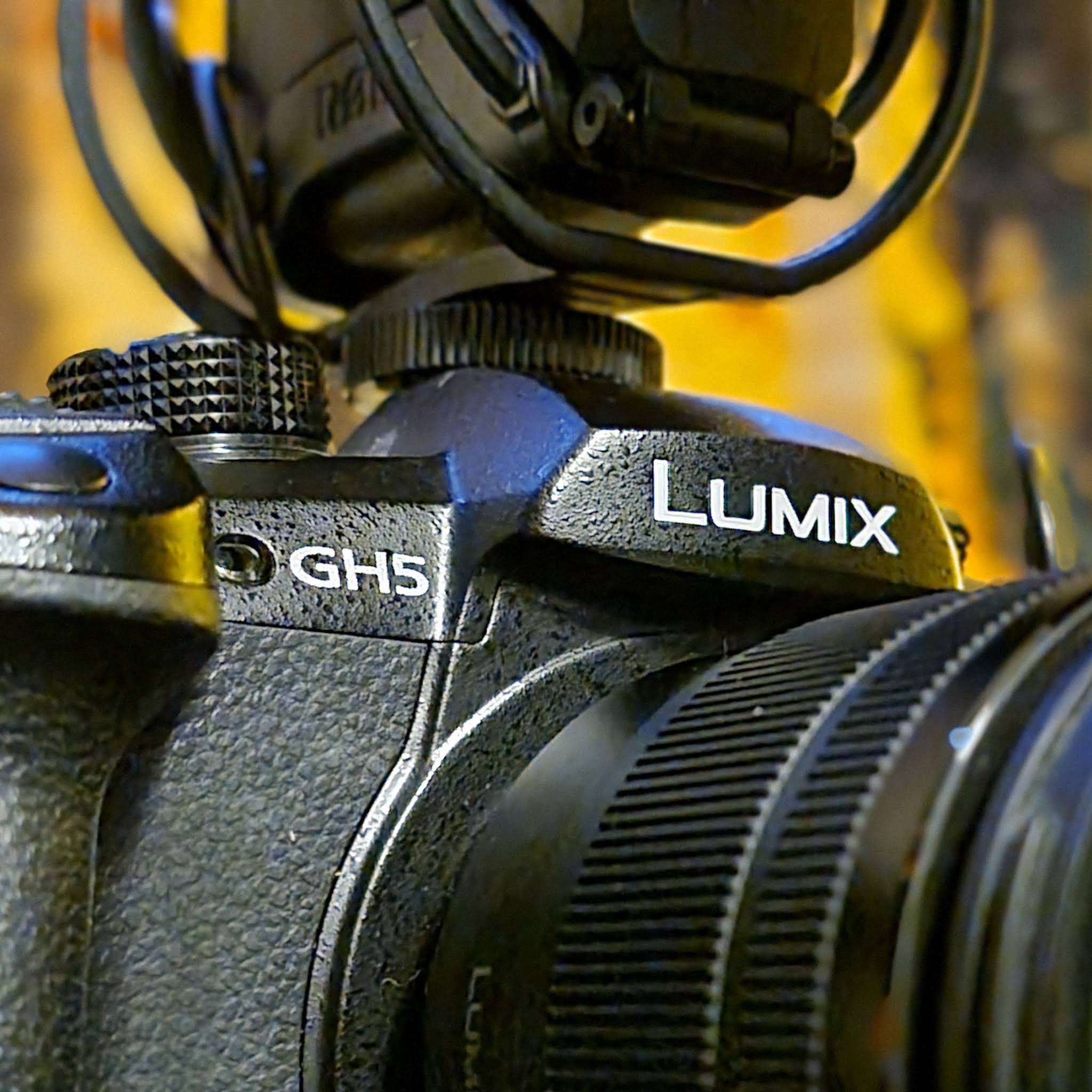 Post from The Tall Ones