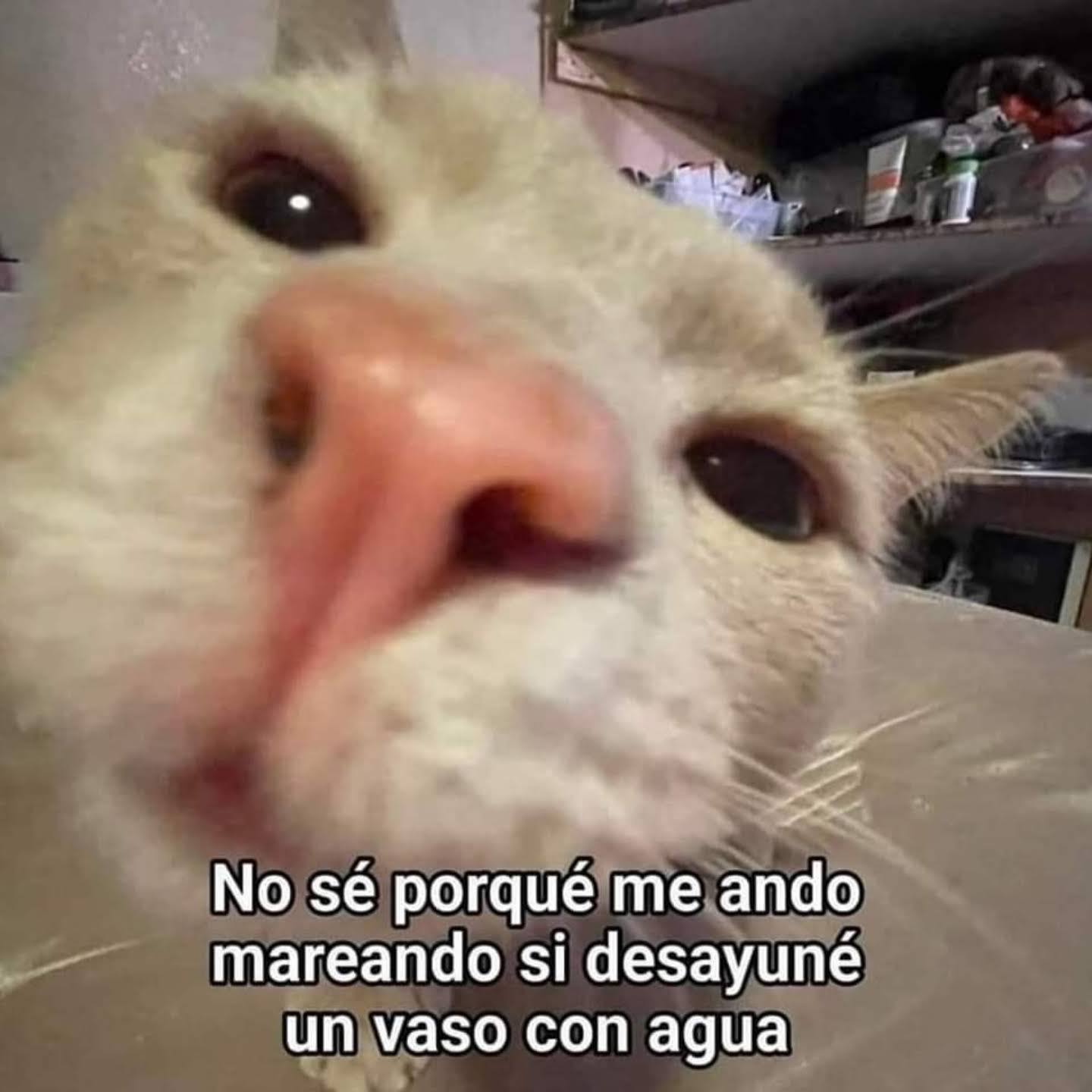 Post from SnowFlake Freak