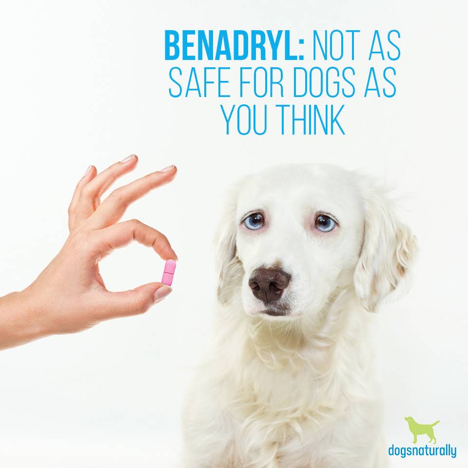 Post from Dogs Naturally Magazine