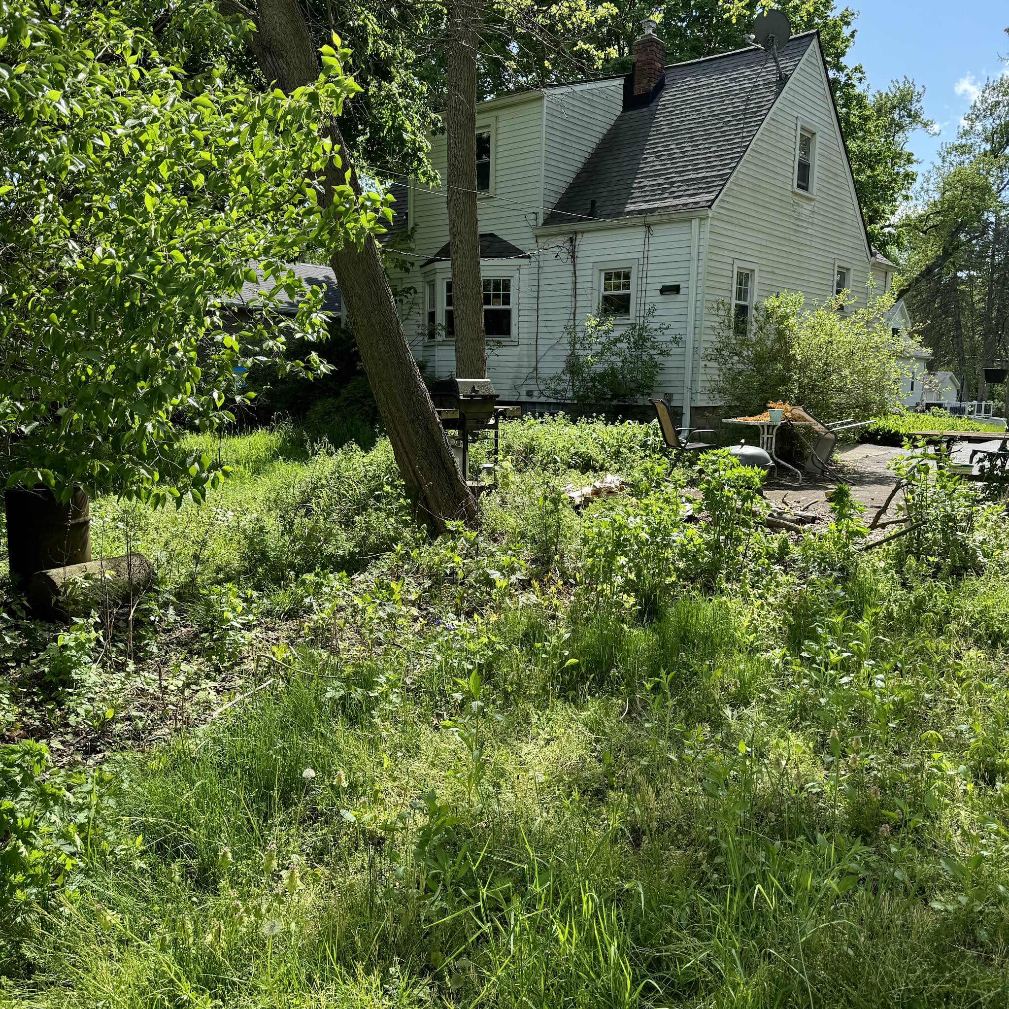 Post from Midlife Stockman