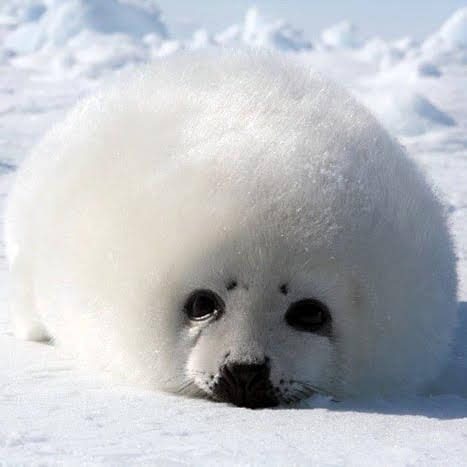 Post from Forrestbono