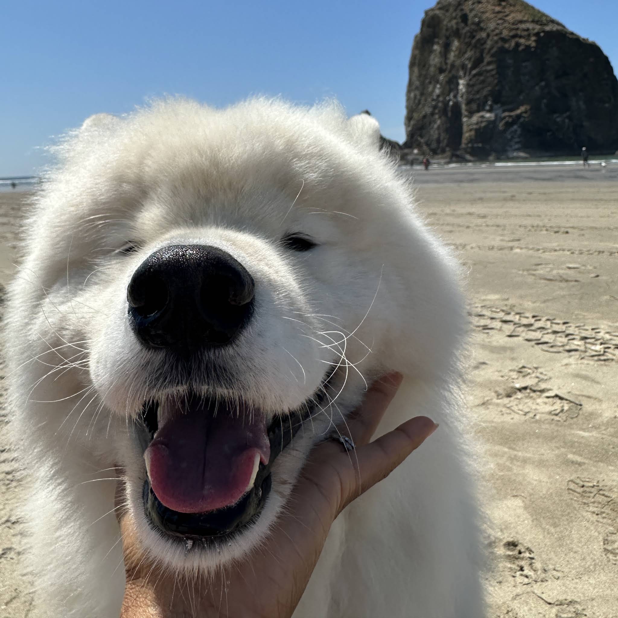 Post from Life With A Landcloud