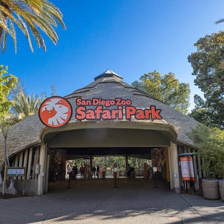 Post from Zoo Tours