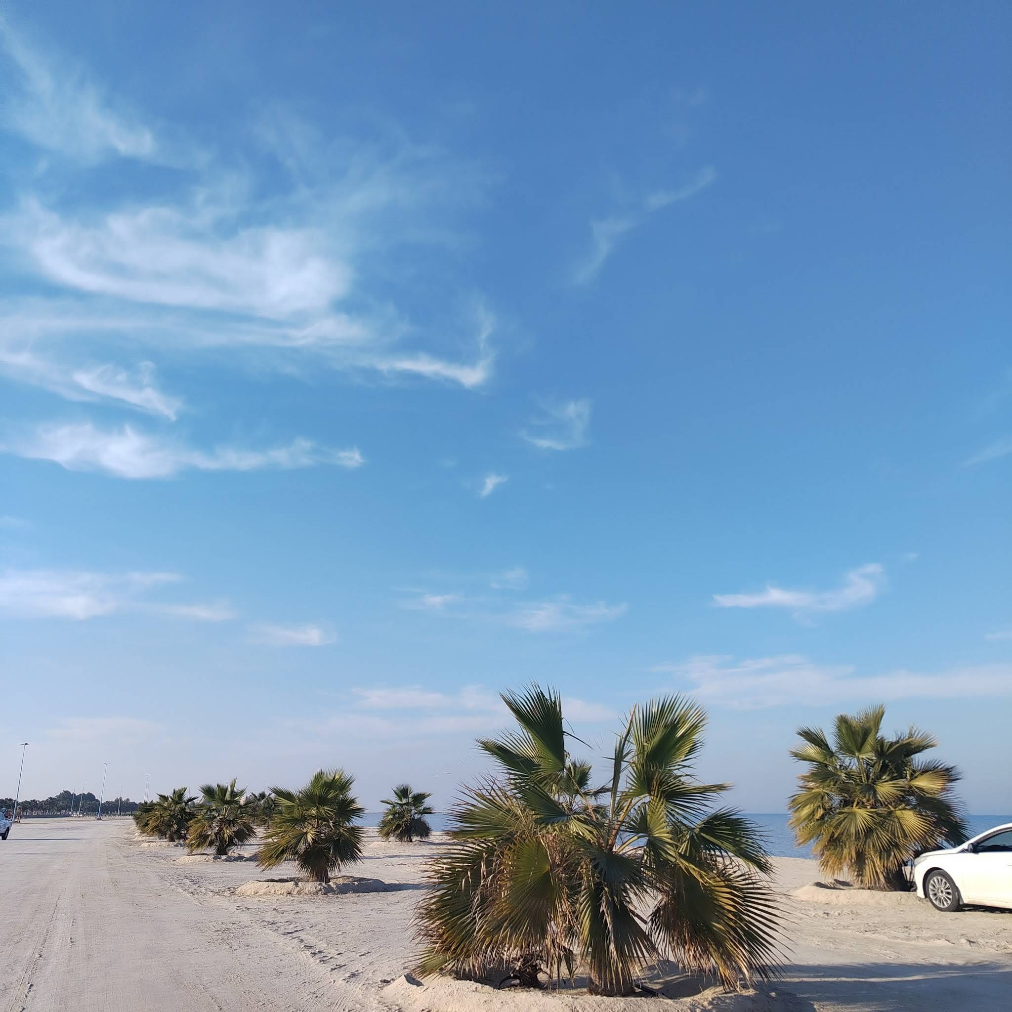 Post from الحمدالله
