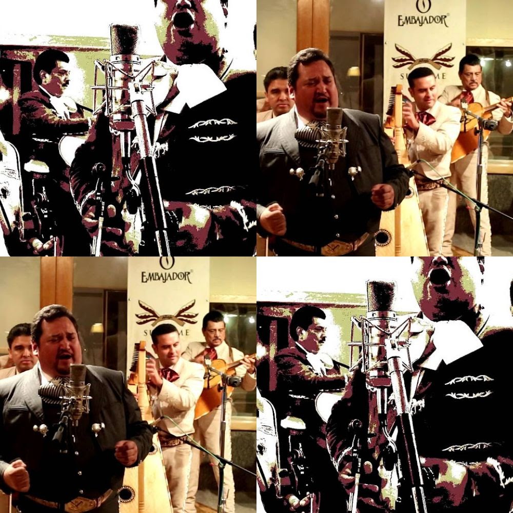 Los mejores sones de Mariachi