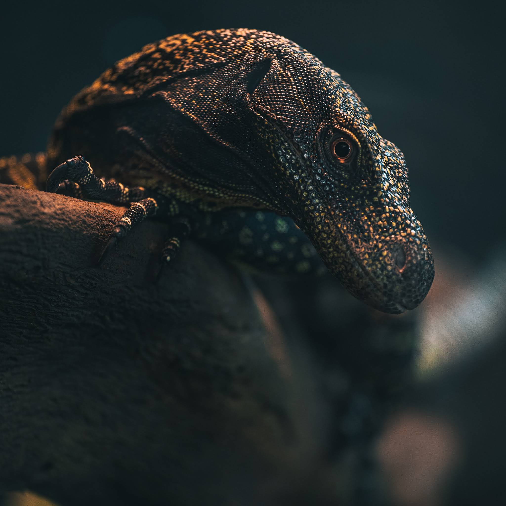 Post from Jay Tomsky