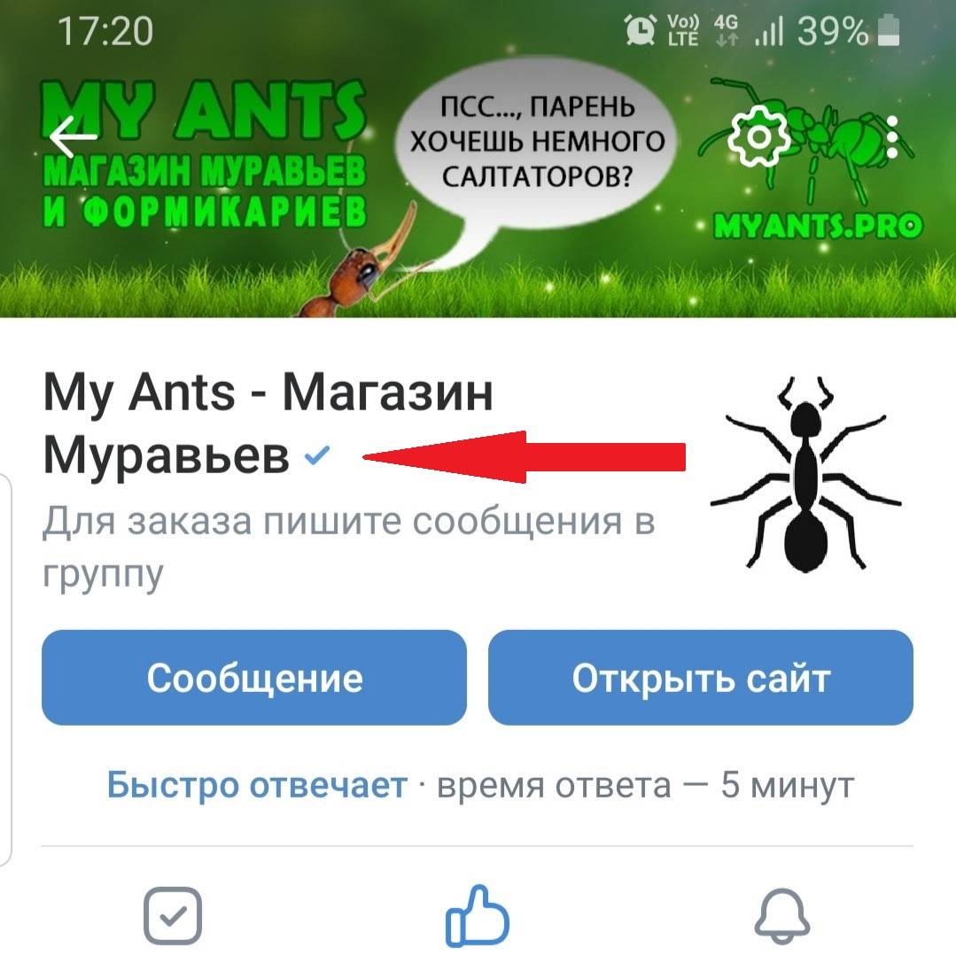 Post from My Ants - Ant Channel