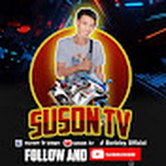 Suson tv Net Worth, Income & Earnings (2025)