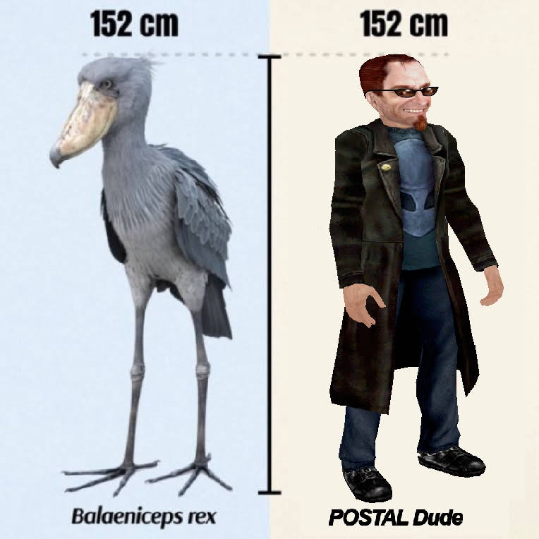 Post from A Buff Wizard