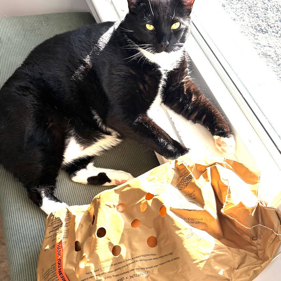Post from The Big House Cats
