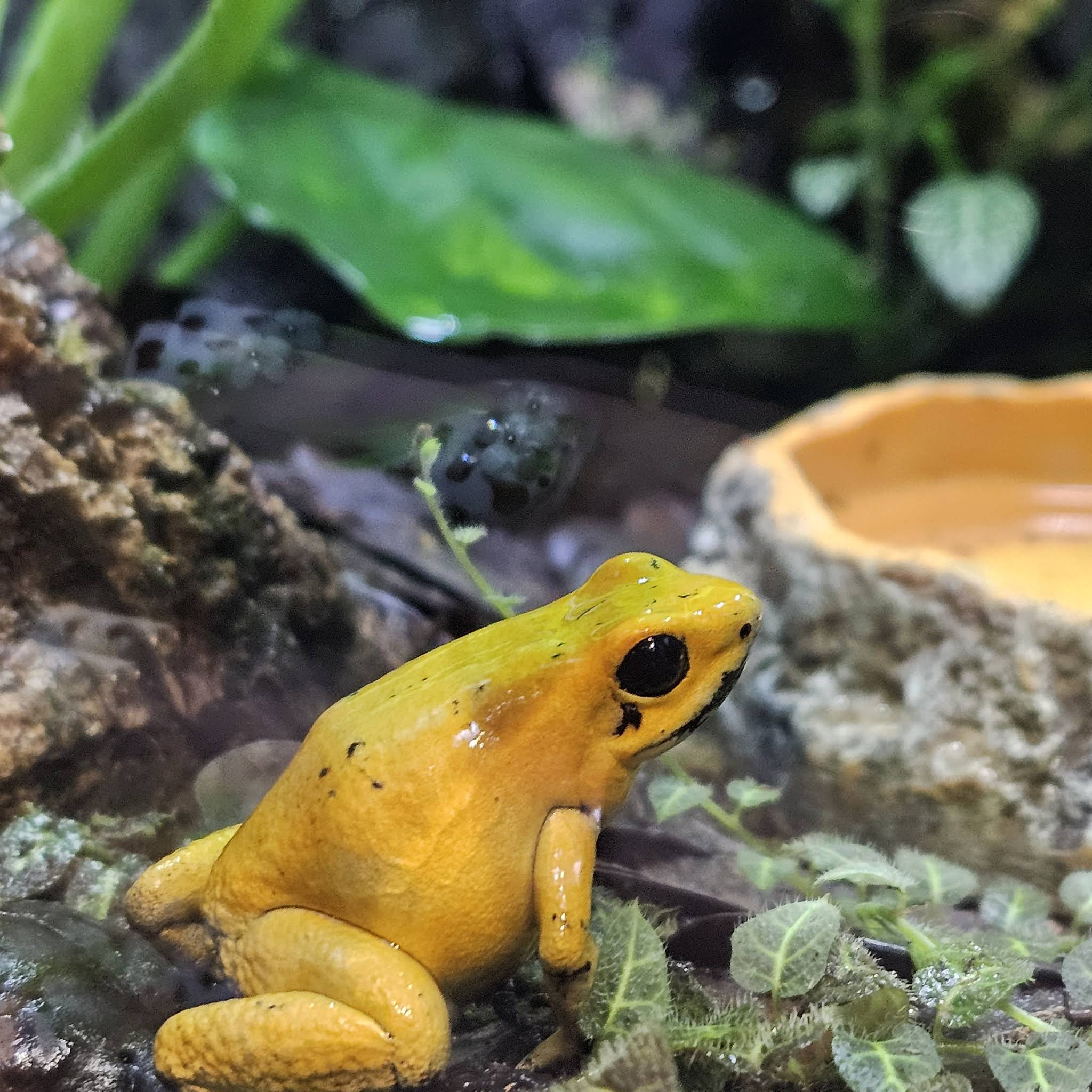 Post from SkittenSays