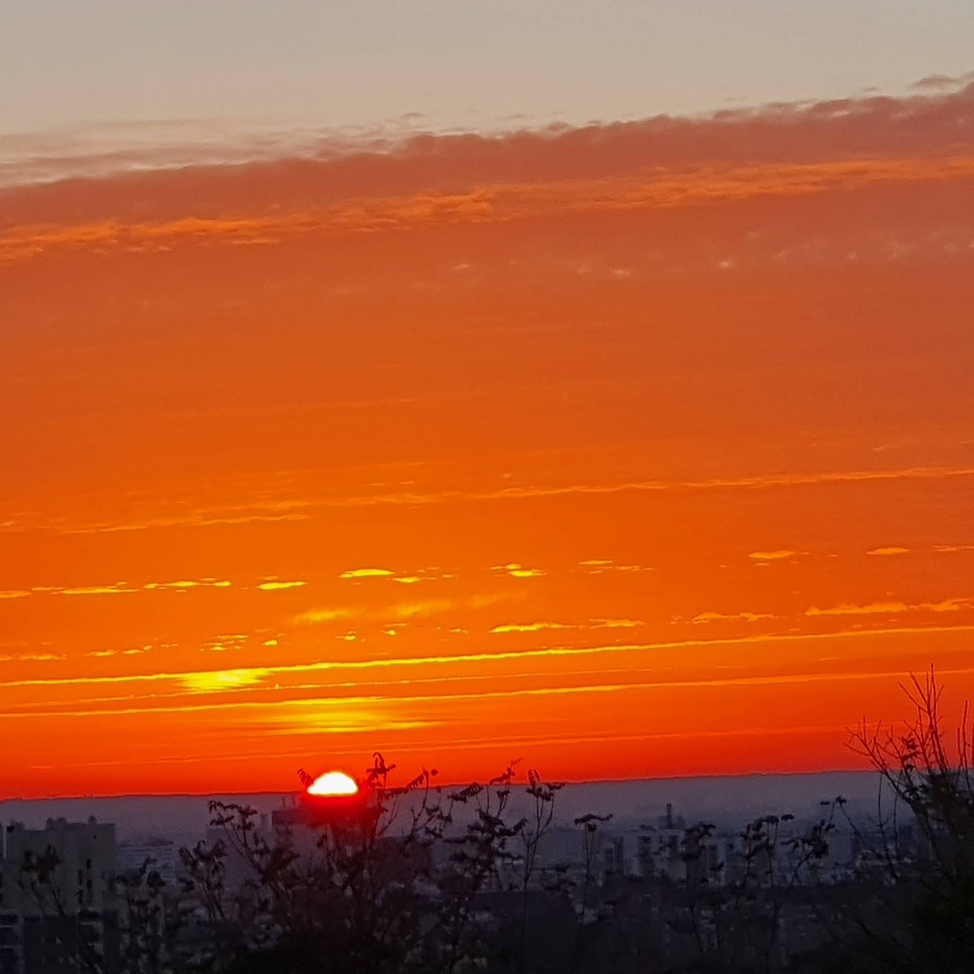 Post from Théo ACNL