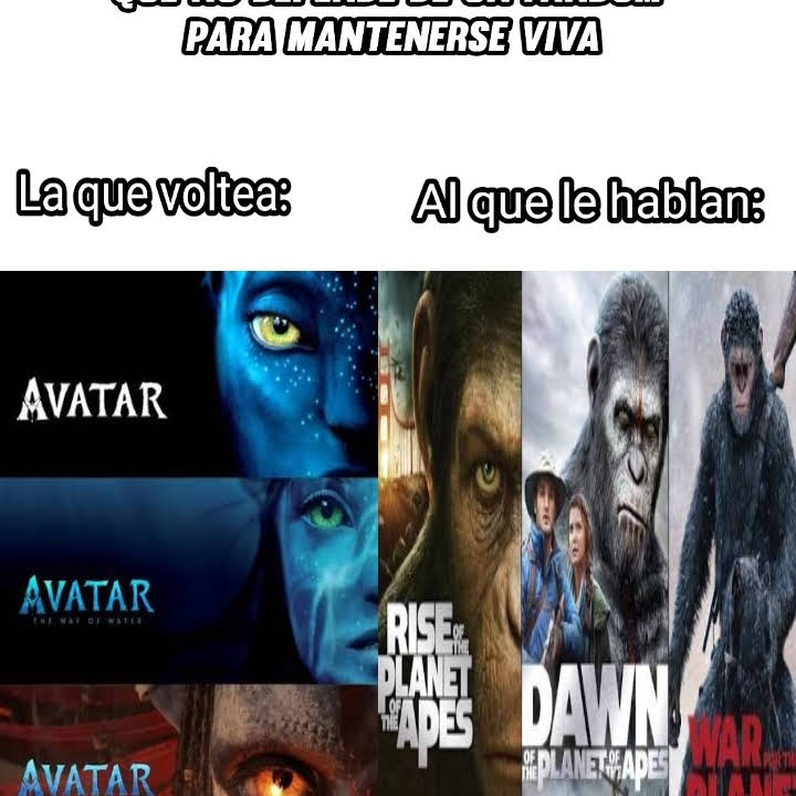 Post from Mr Soul station reseñas