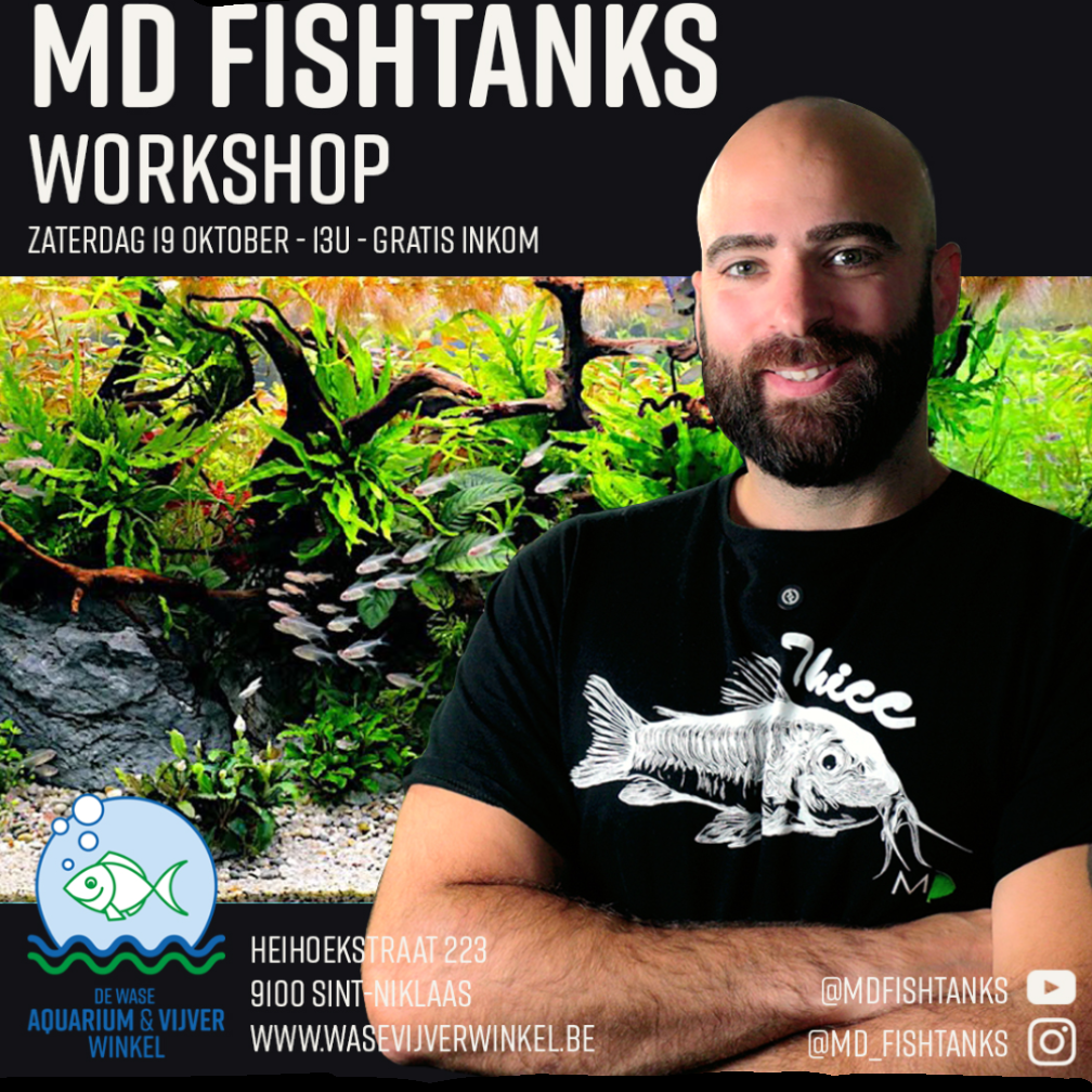 @mdfishtanks | MD Fish Tanks | fishfam.link
