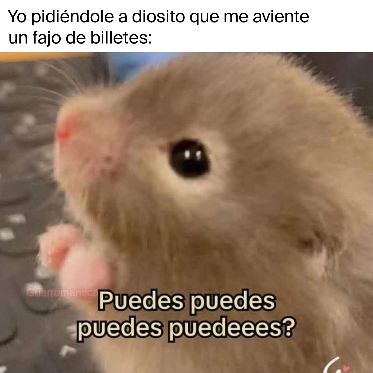 Post from SnowFlake Freak