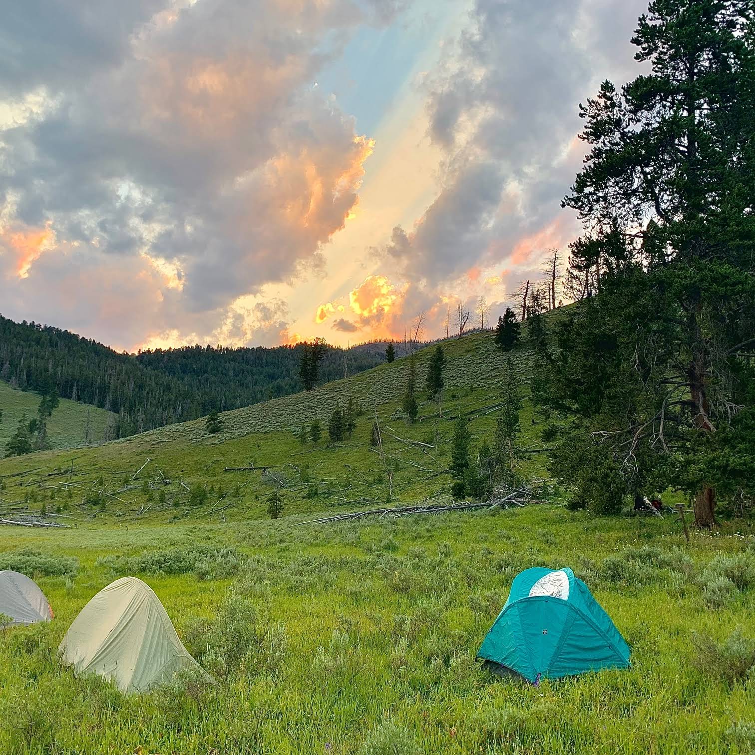 Post from Base Camp Chris