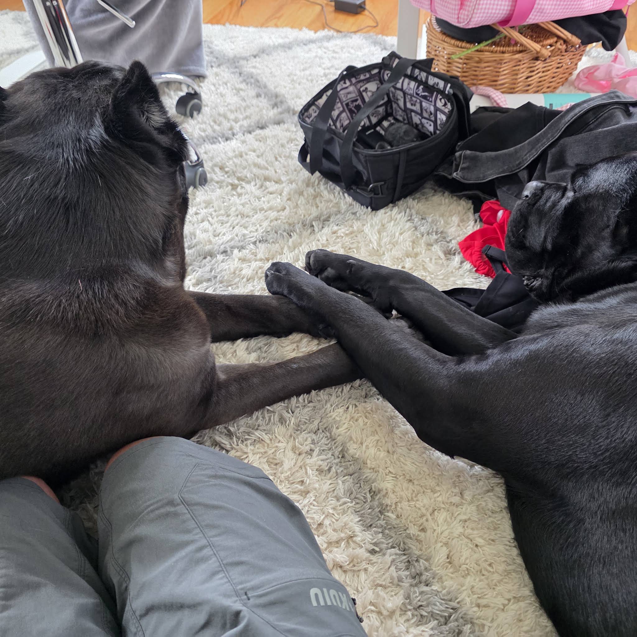 Post from Jason Corey