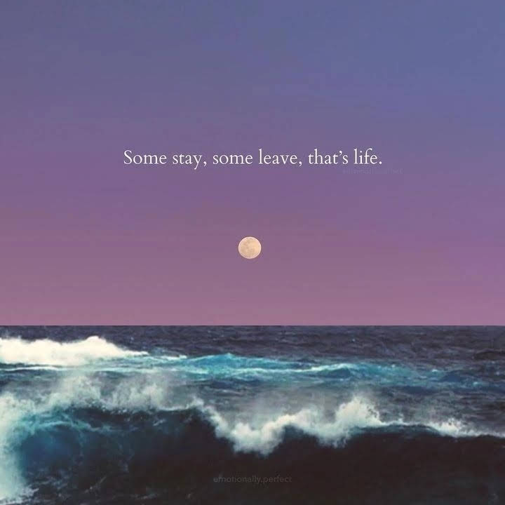 Post from Epic Life pills