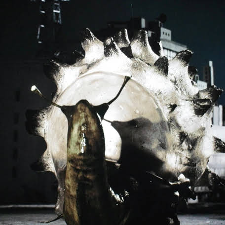 Post from The Toku Professor