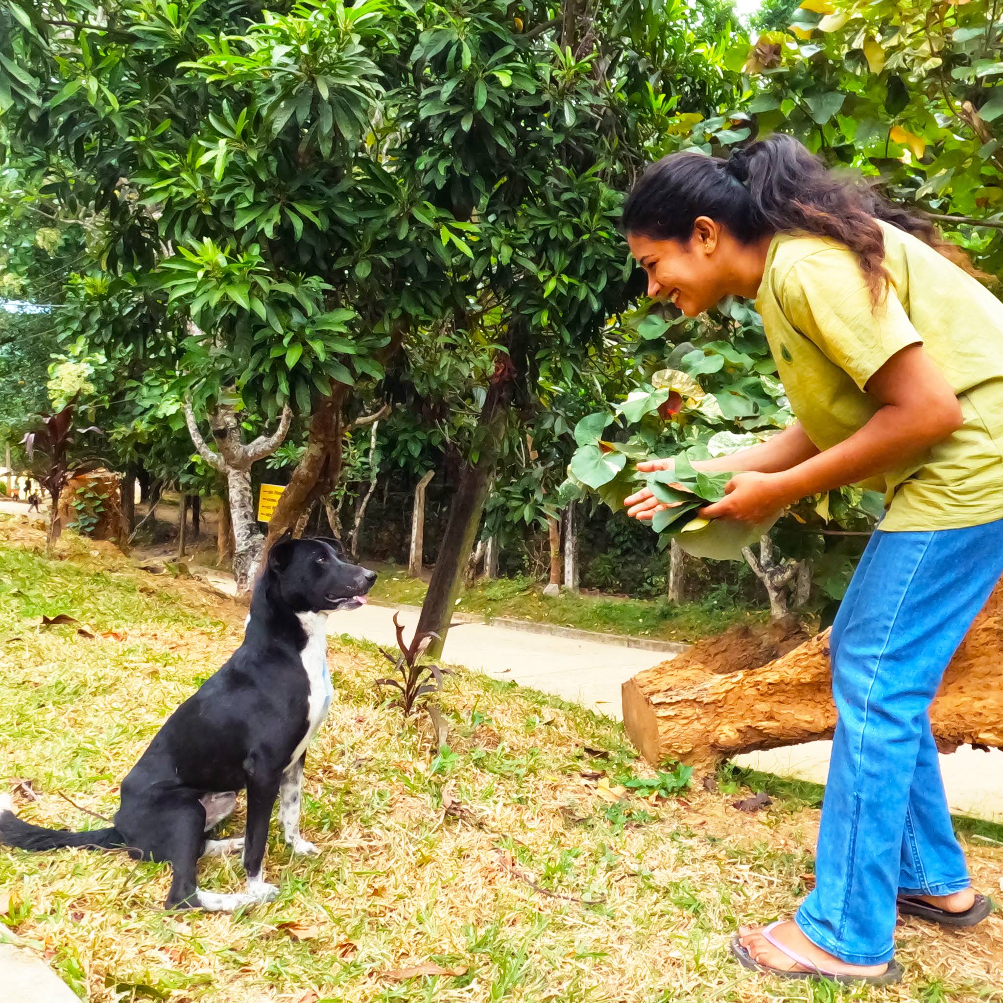 Post from DARSH & MARSH