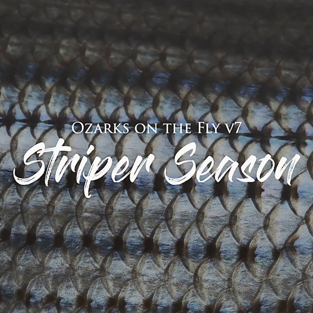 Post from Bluff Line Media