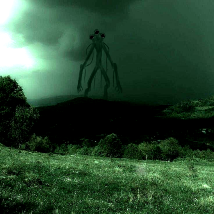 Post from Trato Lojj