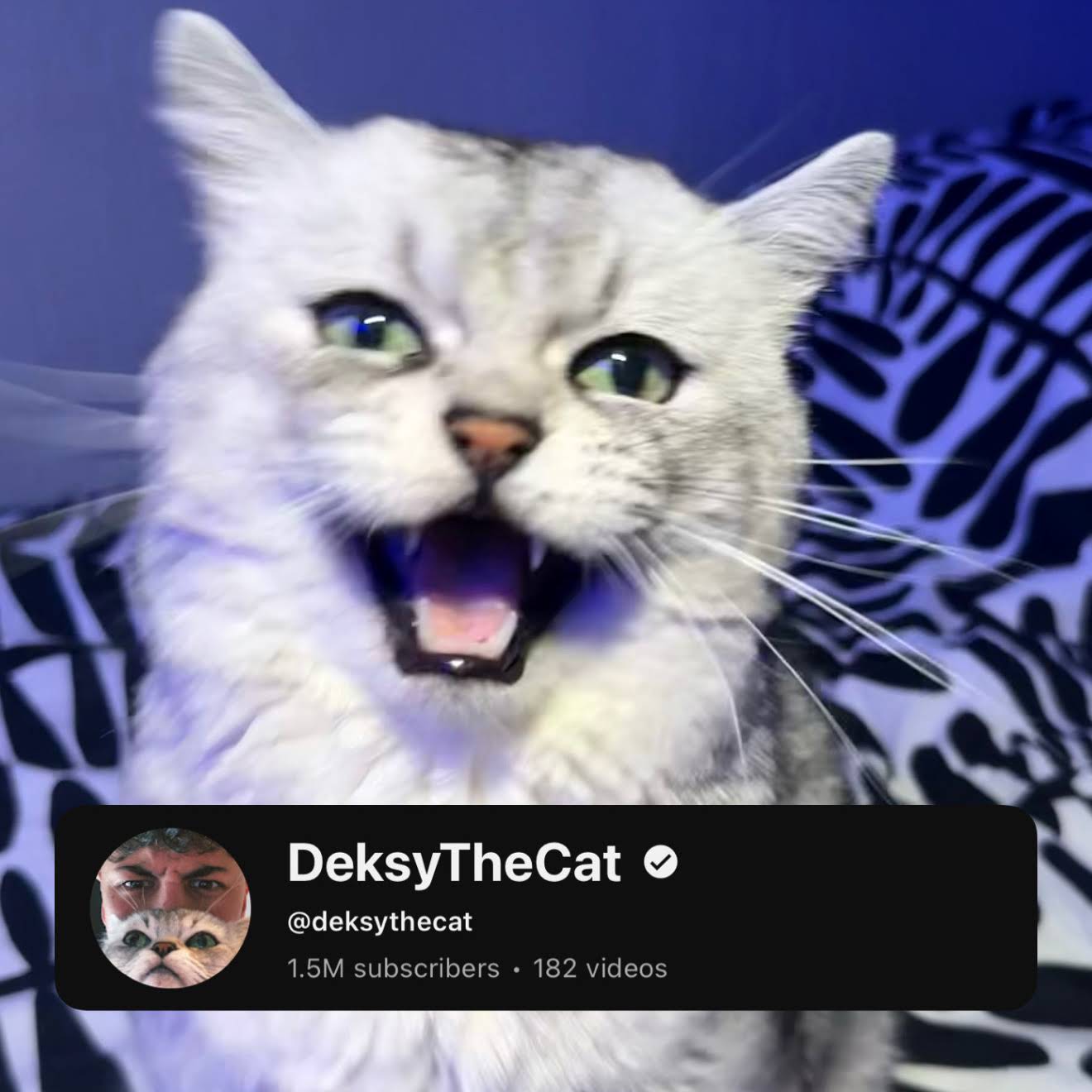 Post from DeksyTheCat