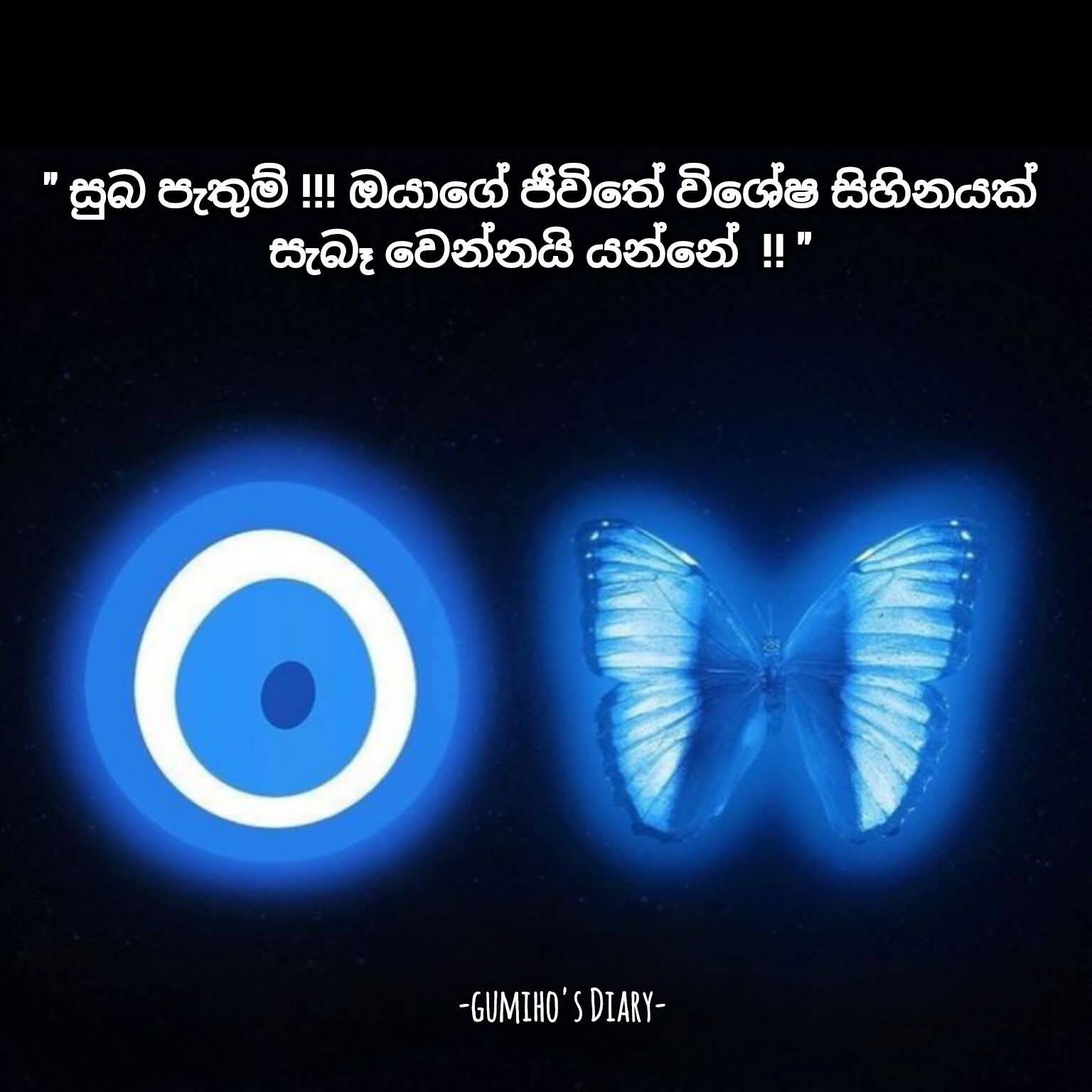 Post from Ayale 1111