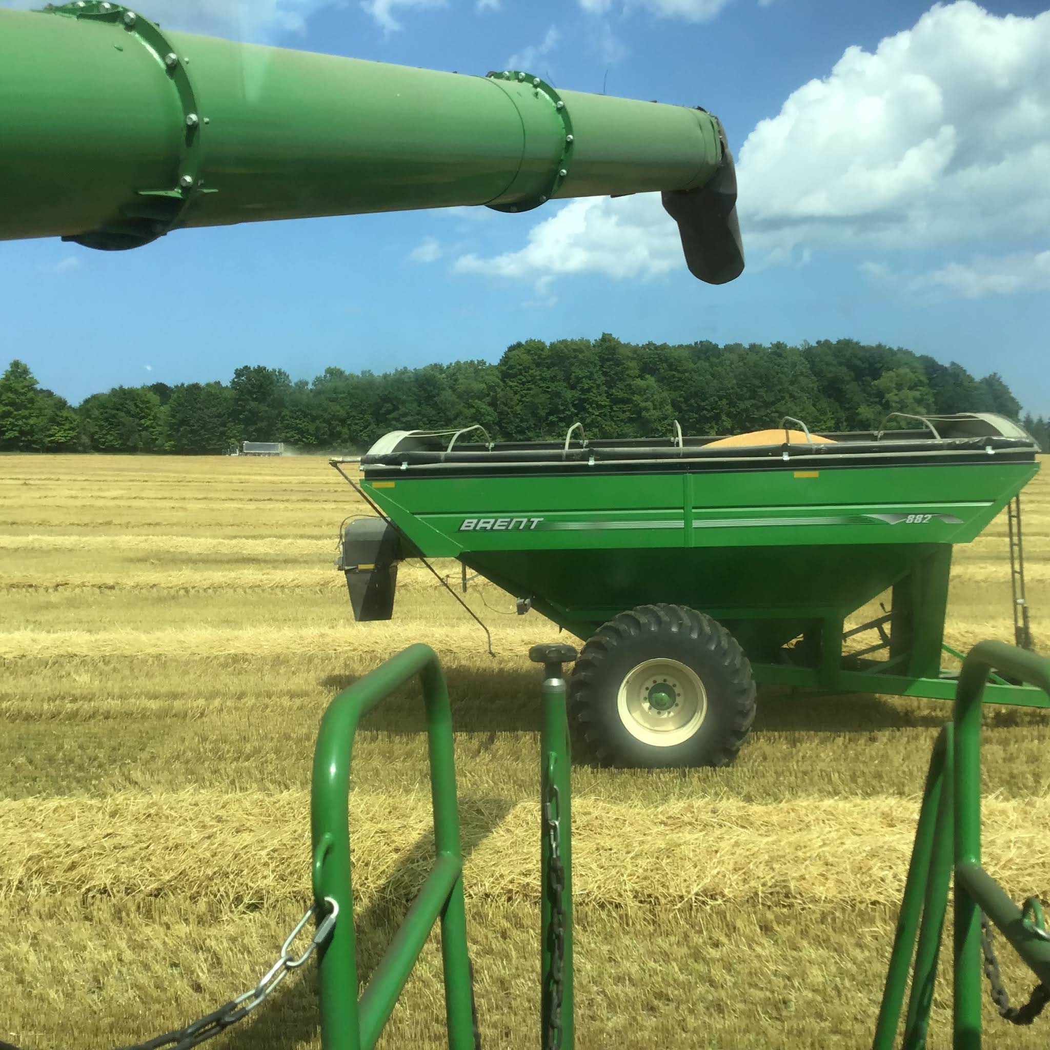 Post from Will Farms