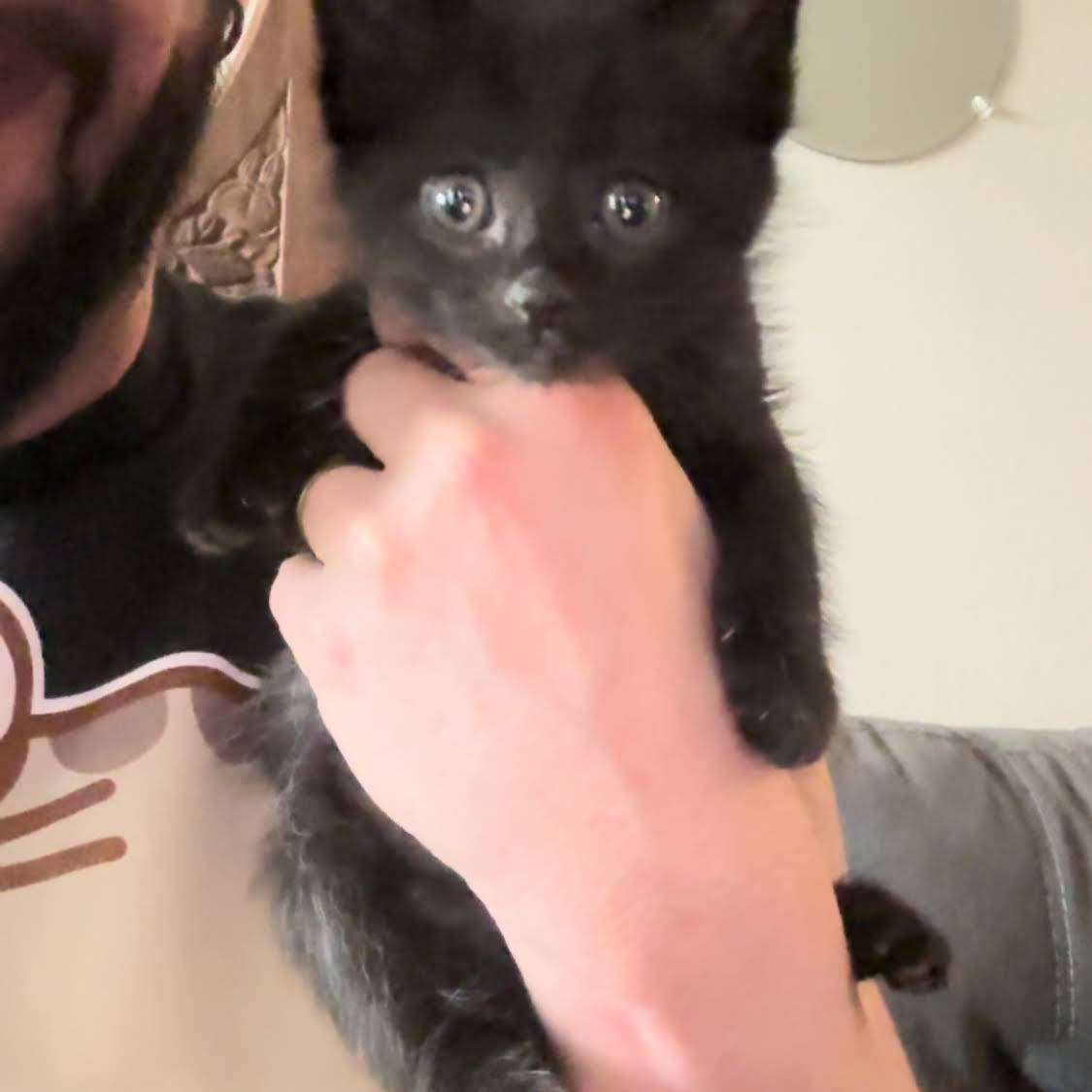 Post from Save Robbie