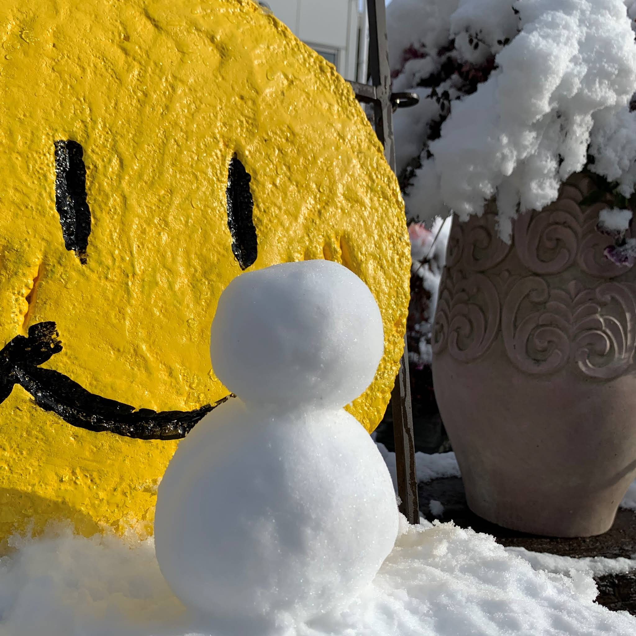 Post from ohana chan