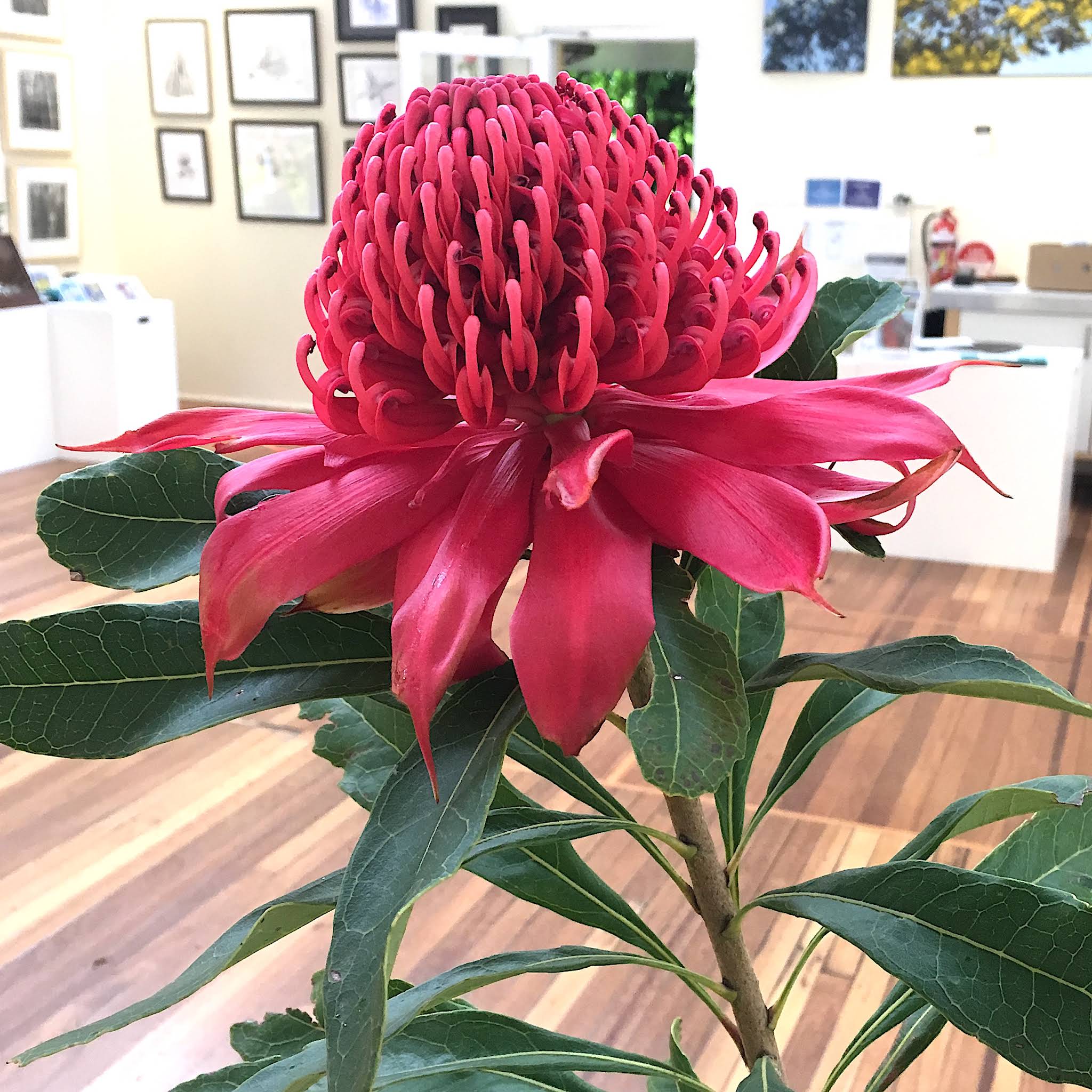 Post from Stephen Travers Art